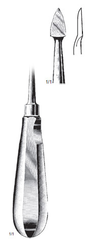 Cryer Root Elevator – Acme Instruments