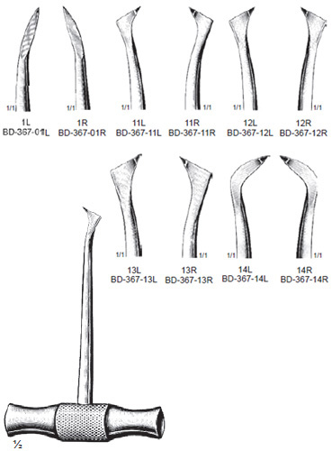 Winter Root Elevator – Acme Instruments