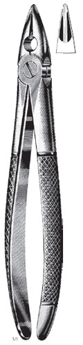 Extraction Forcep – Acme Instruments
